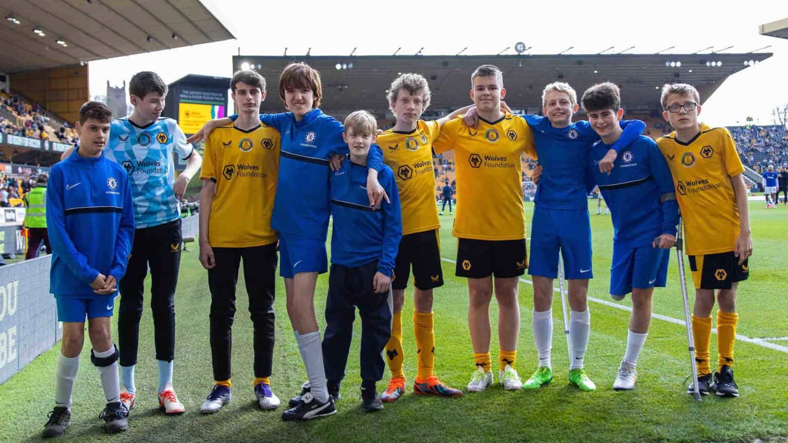 News - Wolves Foundation