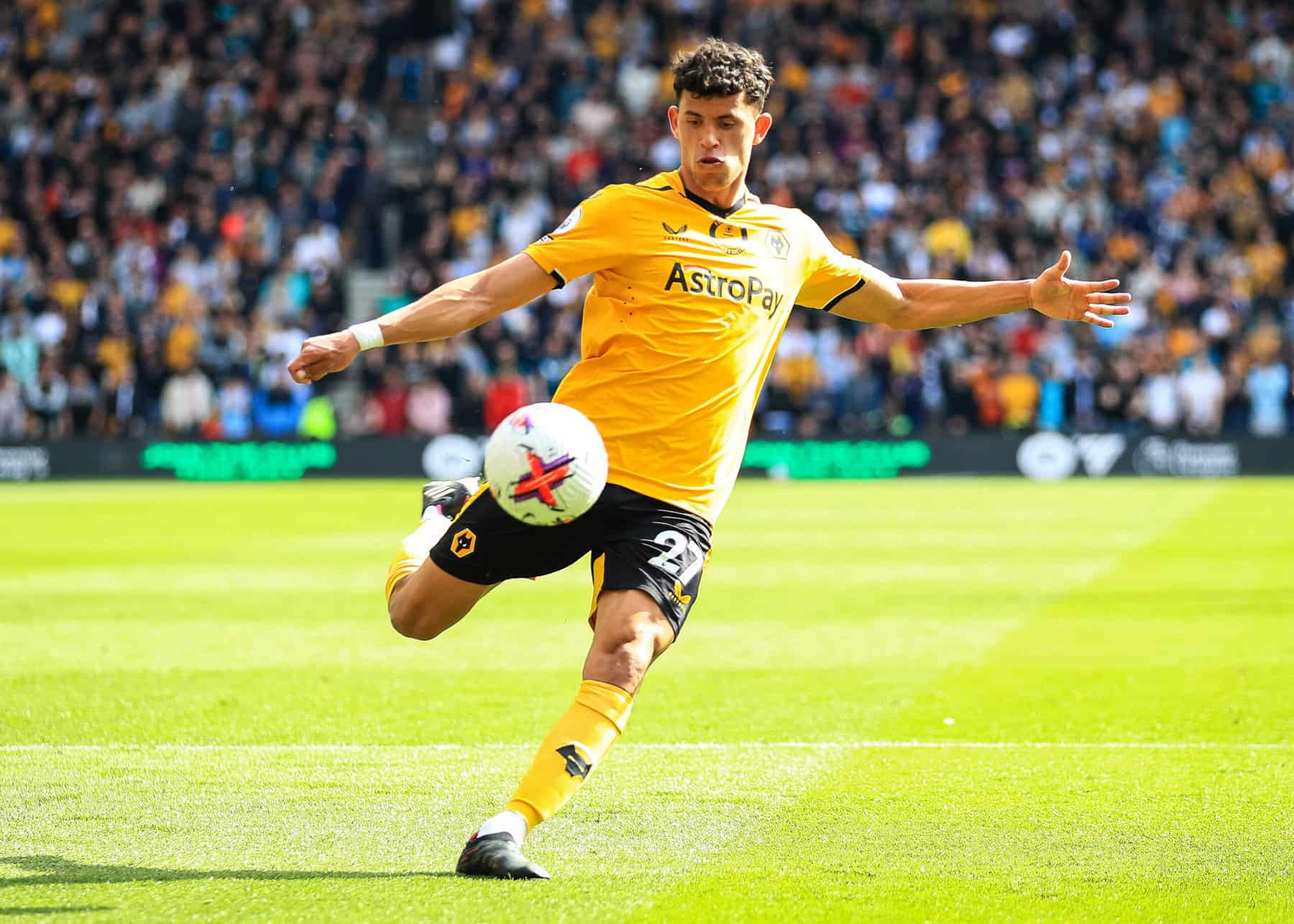 Events - Wolves Foundation