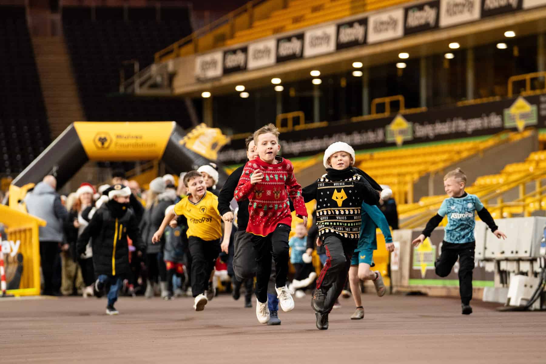 Wolves Foundation's 2023 in review - Wolves Foundation